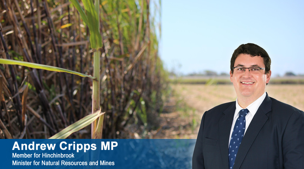 Andrew Cripps MP - Member for Hinchinbrook